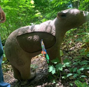 How to Shoot: 3D Archery