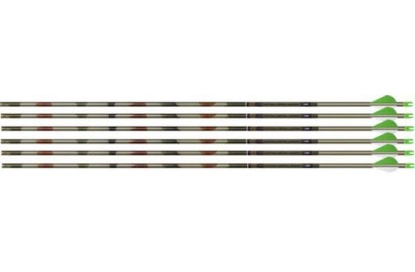 Archery 101 Archery 360